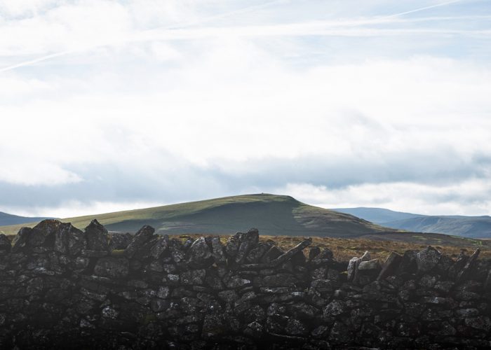 A RIDE UP TO NINE STANDARDS RIGG - Wheelbase