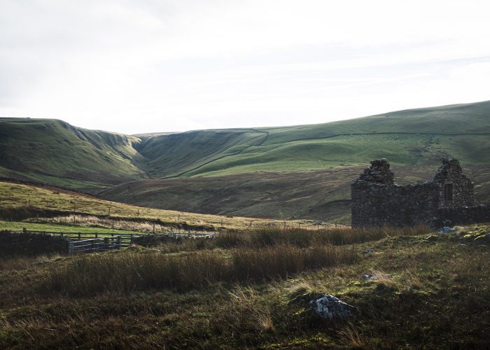 A RIDE UP TO NINE STANDARDS RIGG - Wheelbase