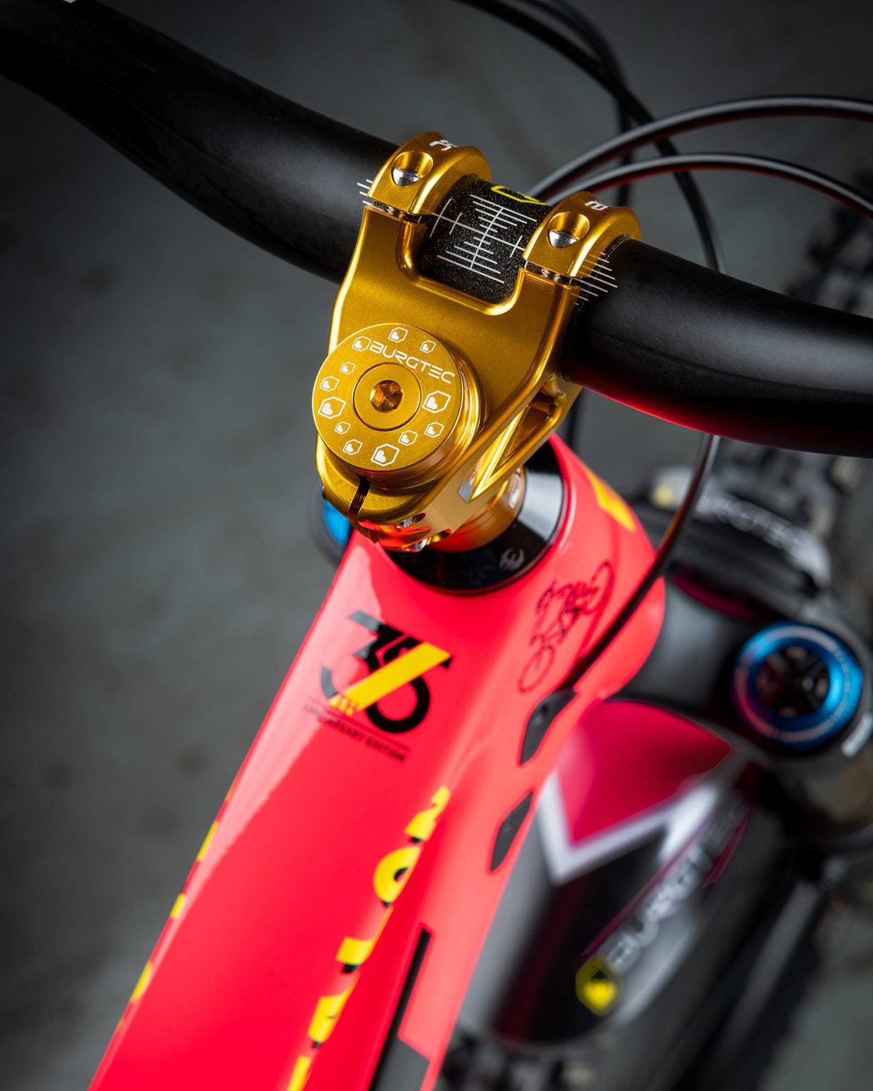 Who are Burgtec? - Wheelbase