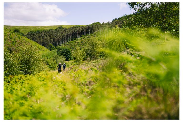 Whyte Secta | The Best Value Hardtail MTB - Wheelbase