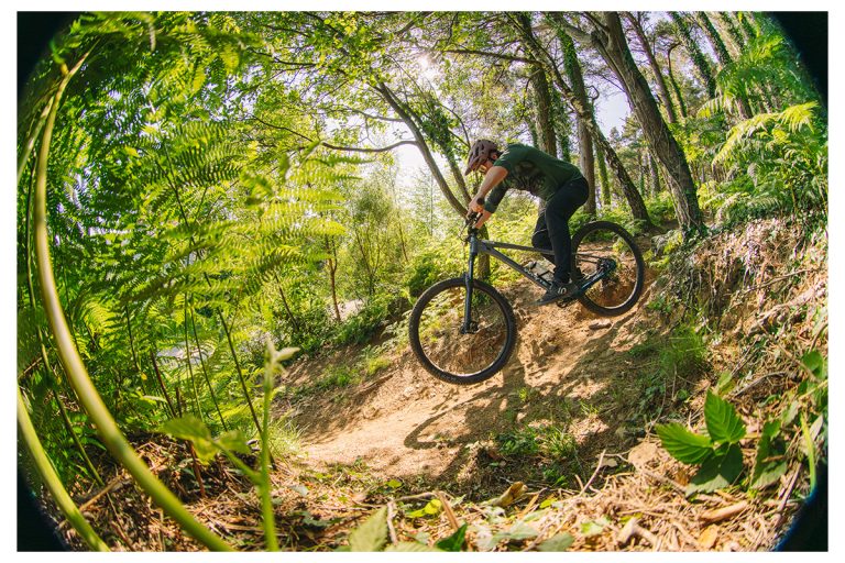Whyte Secta | The Best Value Hardtail MTB - Wheelbase