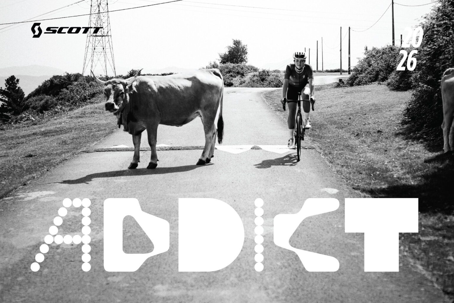 NEW: Scott Addict 2026 | All Day Endurance Road - Wheelbase