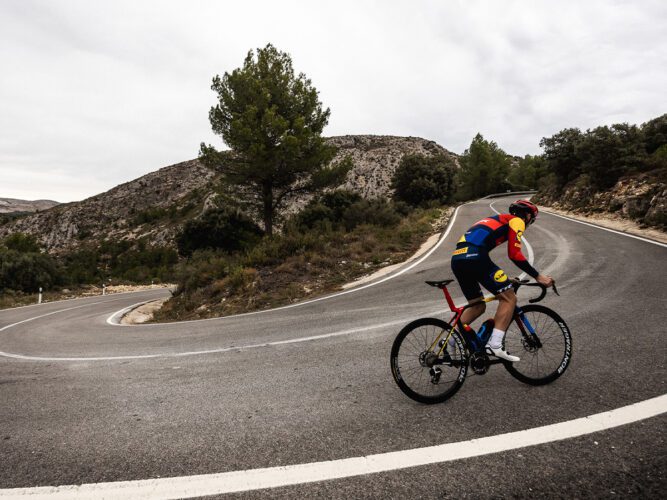 Road Race Bikes | Performance Road Bikes | For Sale - Wheelbase