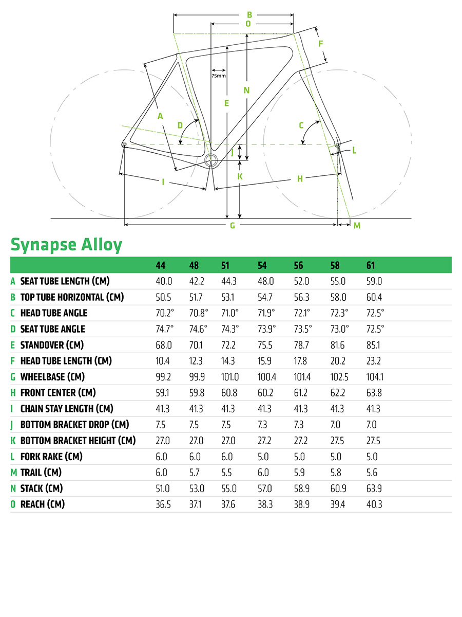 opruiming > synapse size chart